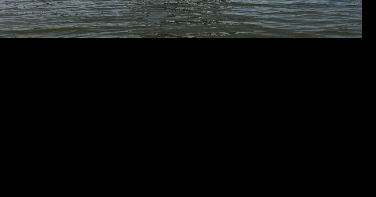 Sassafras River Bridge reopens to traffic | | myeasternshoremd.com