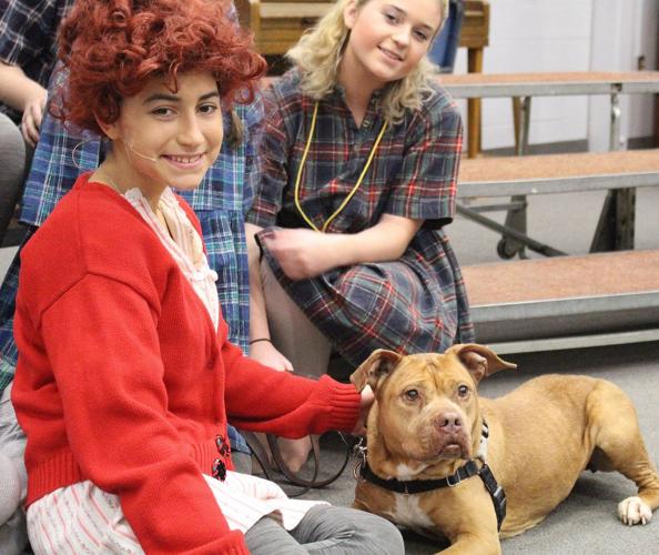 What Kind Of Dog Is Sandy From Annie