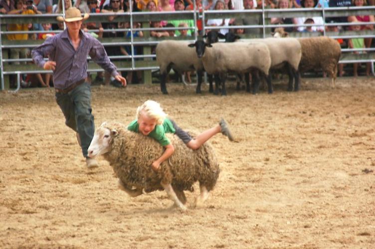 Rodeo returns to QA Fair | Queen Annes County | myeasternshoremd.com