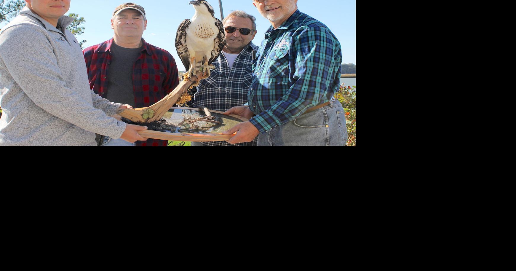 Osprey stuffed, donated to raise public awareness | Spotlight ...