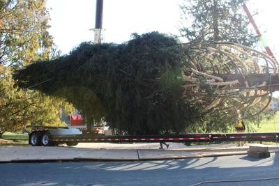 Cecil family donates tree to Rockefeller Center | News ...