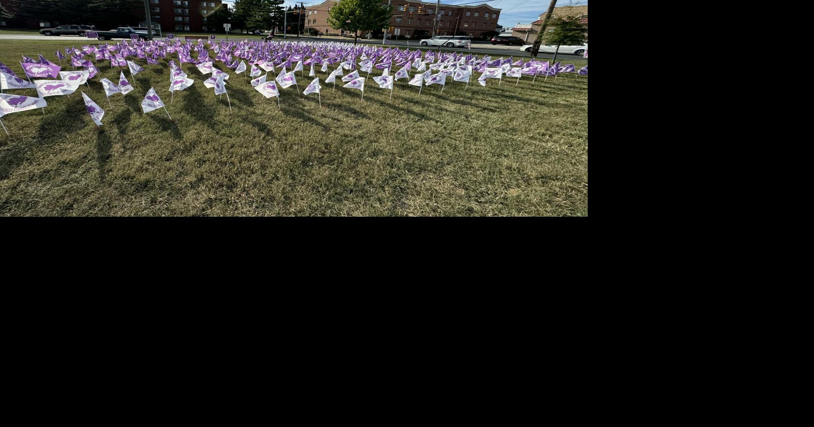 Kick off event launches month of Purple programming | Dorchester County ...