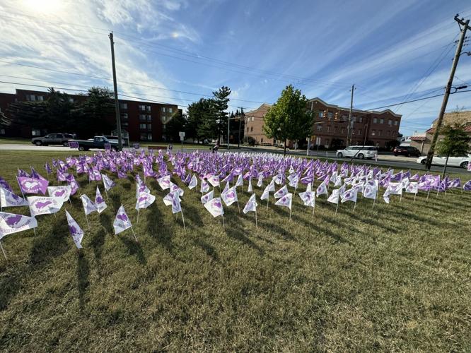 Kick off event launches month of Purple programming | Dorchester County ...