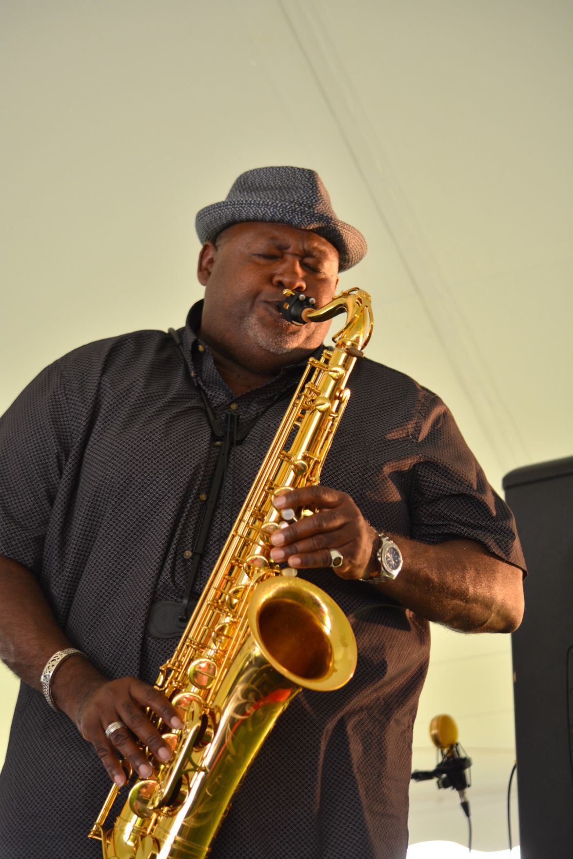 Jazz fest wows Wilmer Park crowd | Arts | myeasternshoremd.com