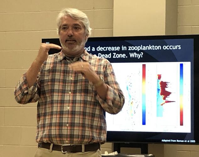 Horn Point Laboratory hosts Summer Talks | News | myeasternshoremd.com