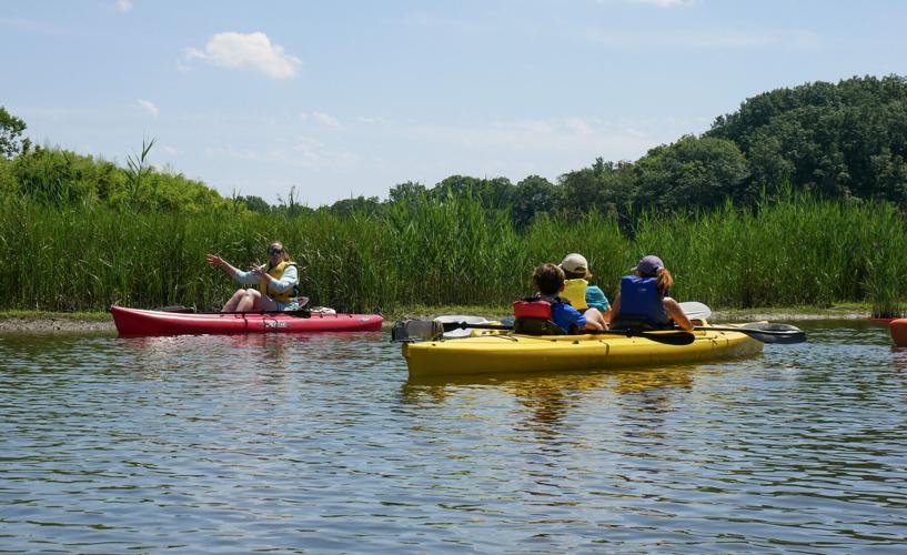 Commissioners and Shore Rivers address bacteria issues 'swimmable' waters | News ...