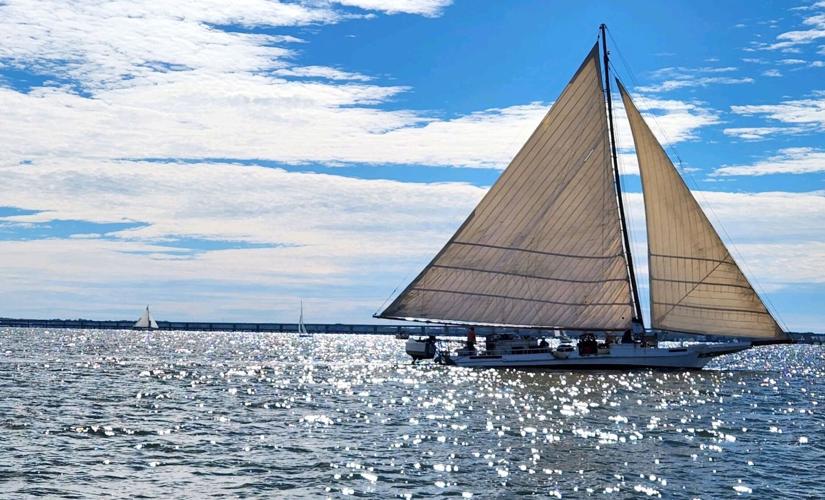 Ida May sails away with win on skipjack day | News | myeasternshoremd.com