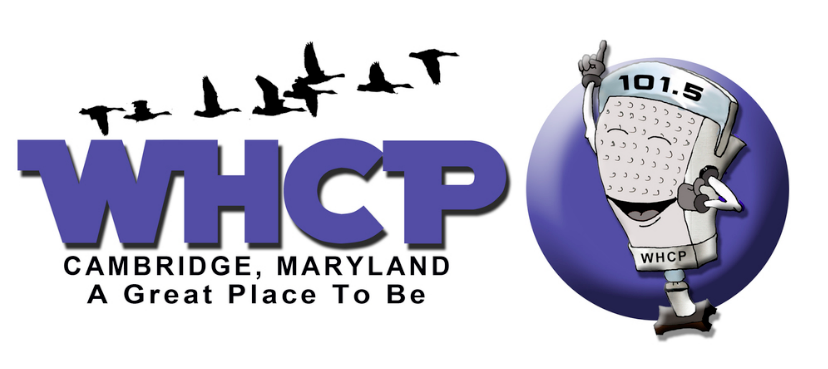 WHCP to bring rock piano phenomenon to downtown Cambridge | News ...