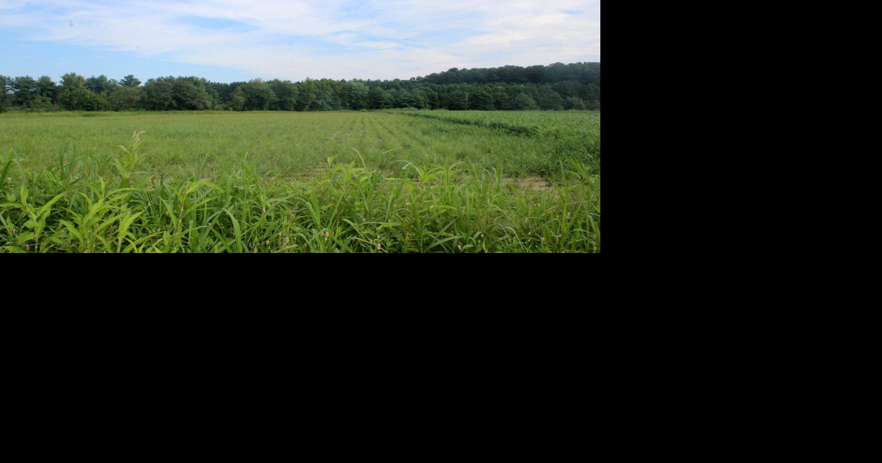 USDA opens enrollment for Grassland Conservation Reserve program | News ...