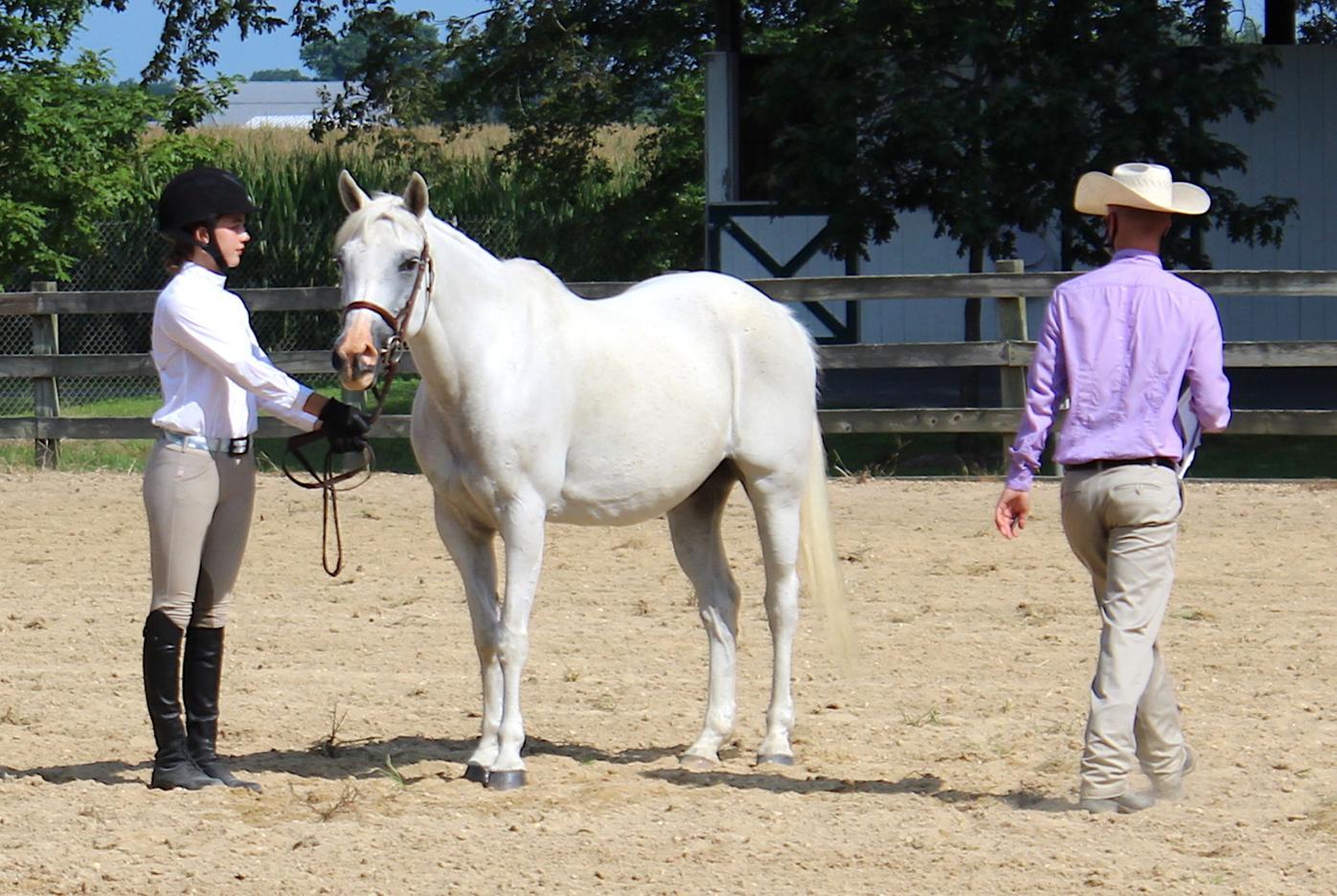 New equestrians rise at QA Youth English Horse Show | Youth ...