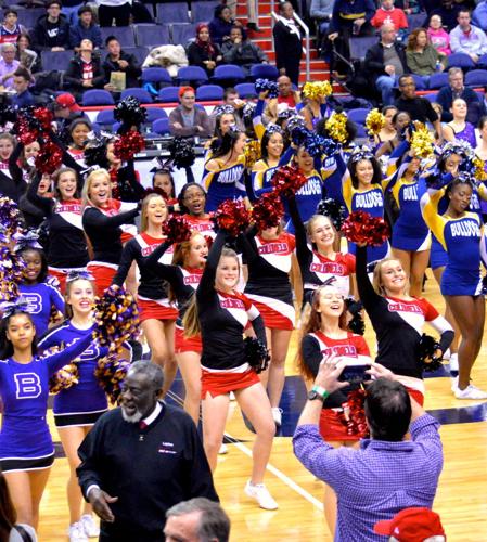 Off to see the Wizards | Sports | myeasternshoremd.com