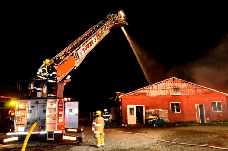 Cows spared in dairy farm fire | News | myeasternshoremd.com