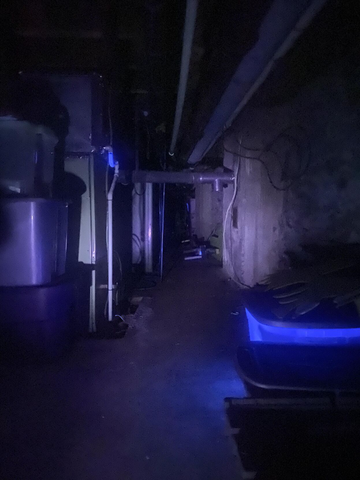 Specters sought at historic Kitty Knight House | News ...