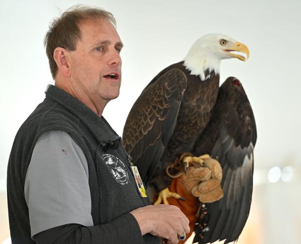 Eagle Festival highlights all that Blackwater has to offer | News ...