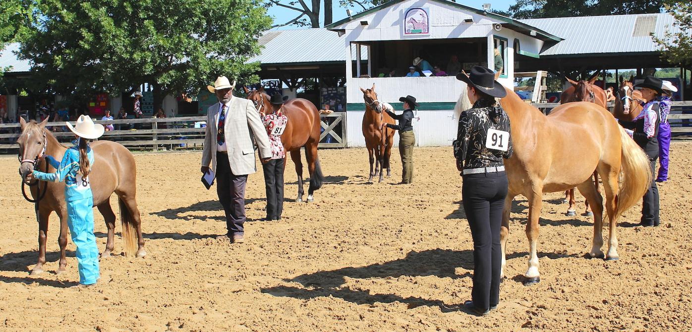 Strong performances seen at QA Fair Western 4-H Horse Show | Queen ...