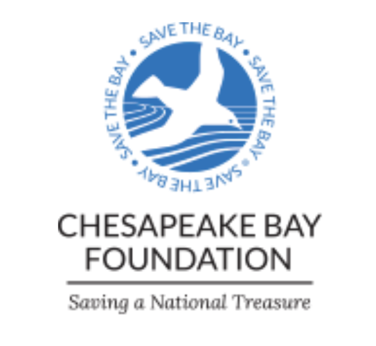 Chesapeake Bay Foundation’s Allison Colden discusses DNR's striped bass ...