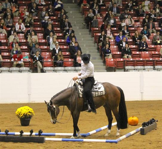 Local 4-H'er Jennifer Gannon medals at QH Congress | Spotlight ...
