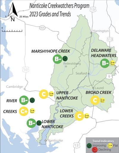 Nanticoke River 2023 report card shows improvements in Lower Nanticoke | | myeasternshoremd.com
