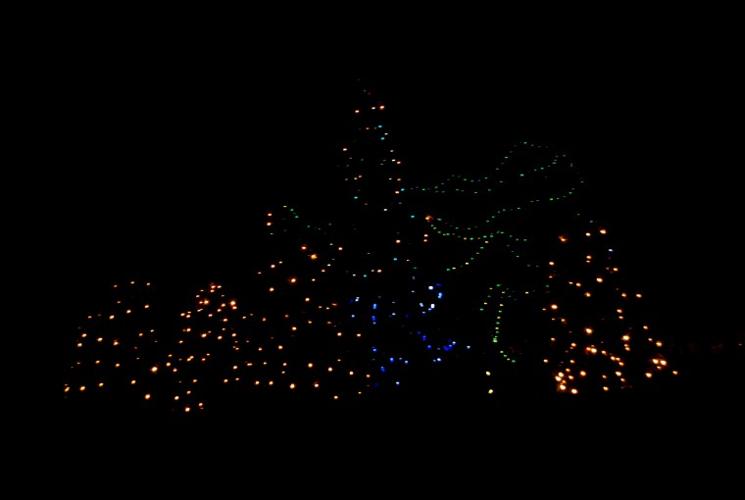 Holiday lights in Denton | Featured | myeasternshoremd.com