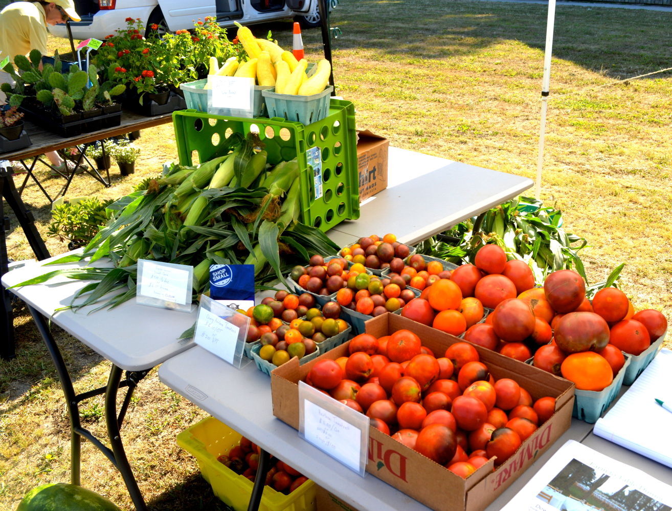Denton growing its farmers' market | News | myeasternshoremd.com