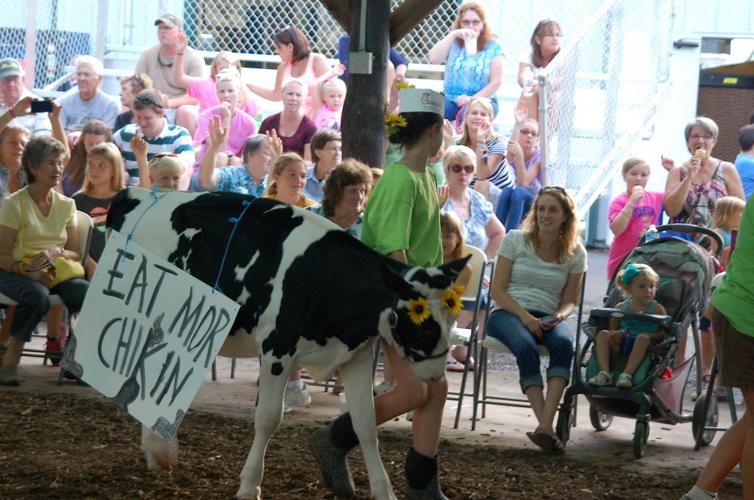 Queen Anne's County Fair — Pretty Animal Contest | Featured ...