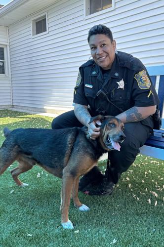 Sheriff's Office visits QACAS for National Shelter Pet Day | News ...