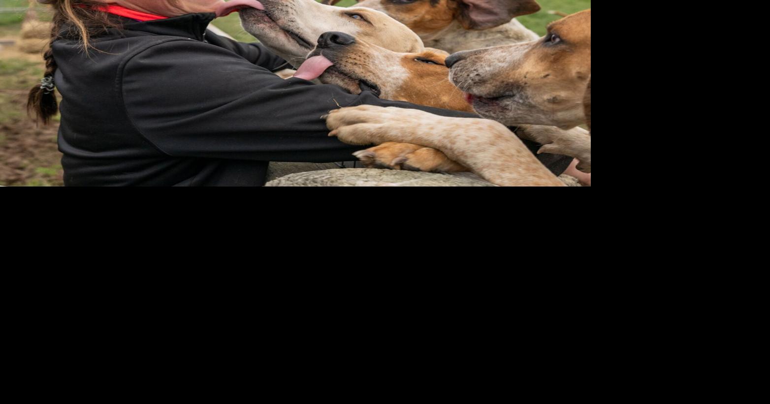 Release the hounds 'via text amendment' | News | myeasternshoremd.com
