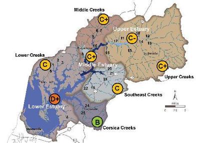 Chester River water quality improved in 2008 | Queen Annes County ...