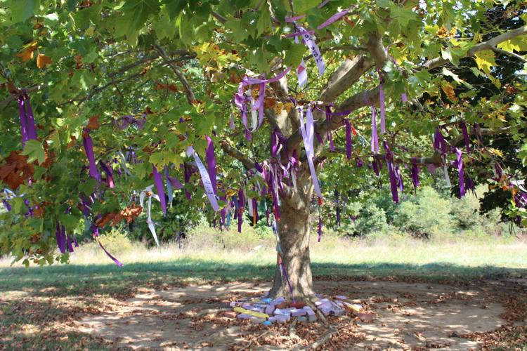 Recovery Centers of America at Bracebridge Hall launches addiction ...