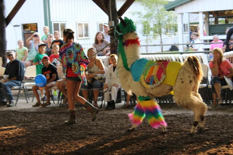 Getting wild at the Pretty Animal Contest at Queen Anne's Fair ...
