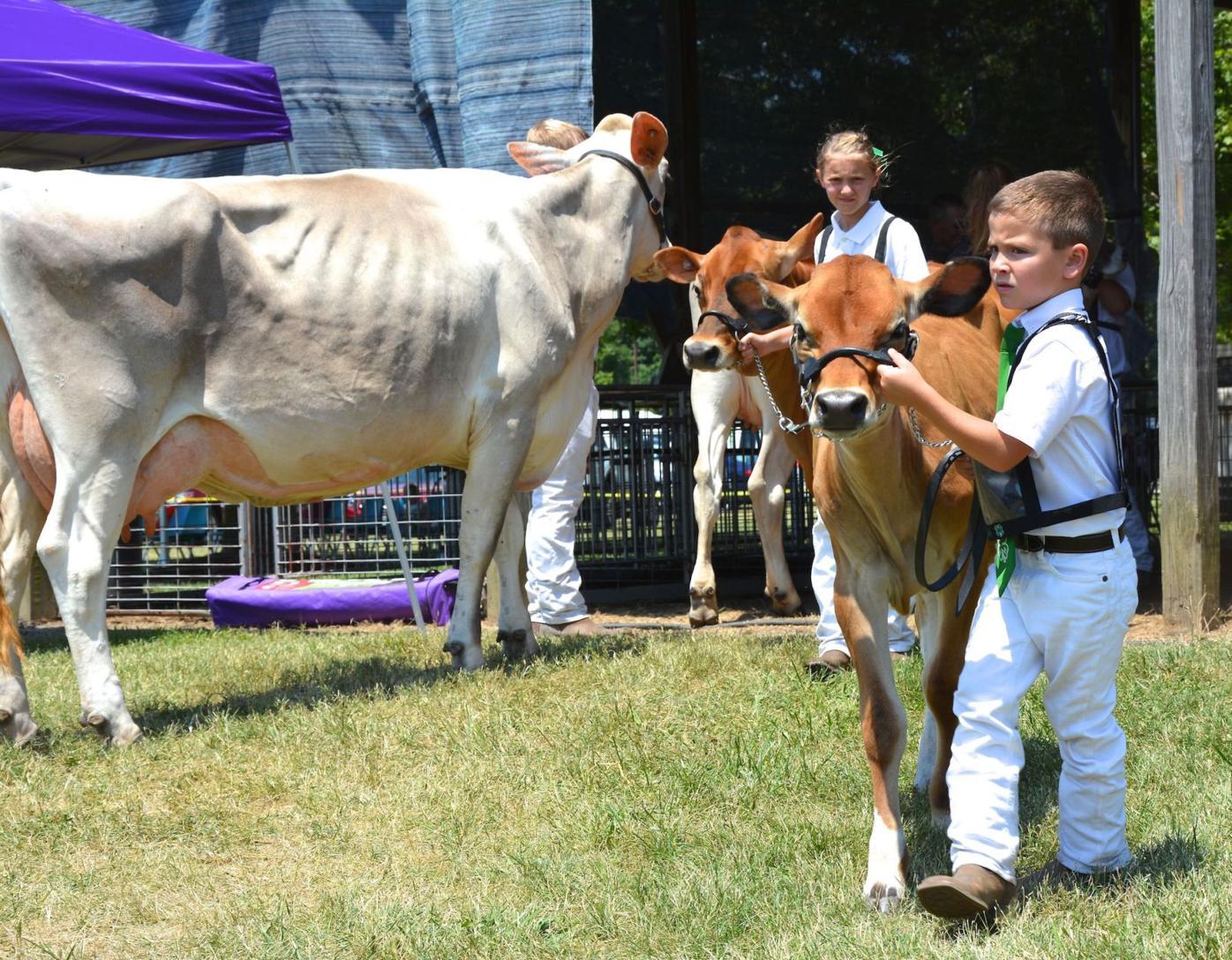 Kent County Fair 2016 | Gallery | myeasternshoremd.com
