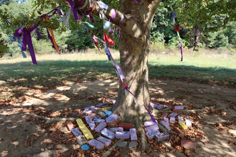Recovery Centers of America at Bracebridge Hall launches addiction ...