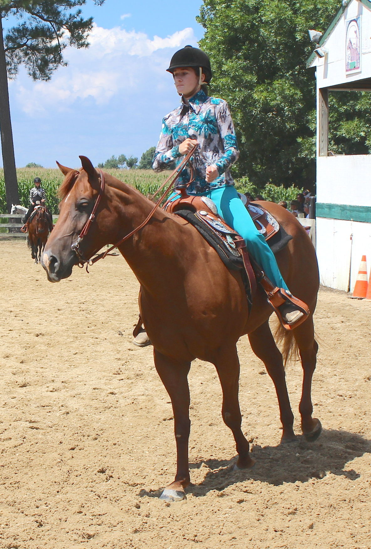 Strong performances seen at QA Fair Western 4-H Horse Show | Queen ...