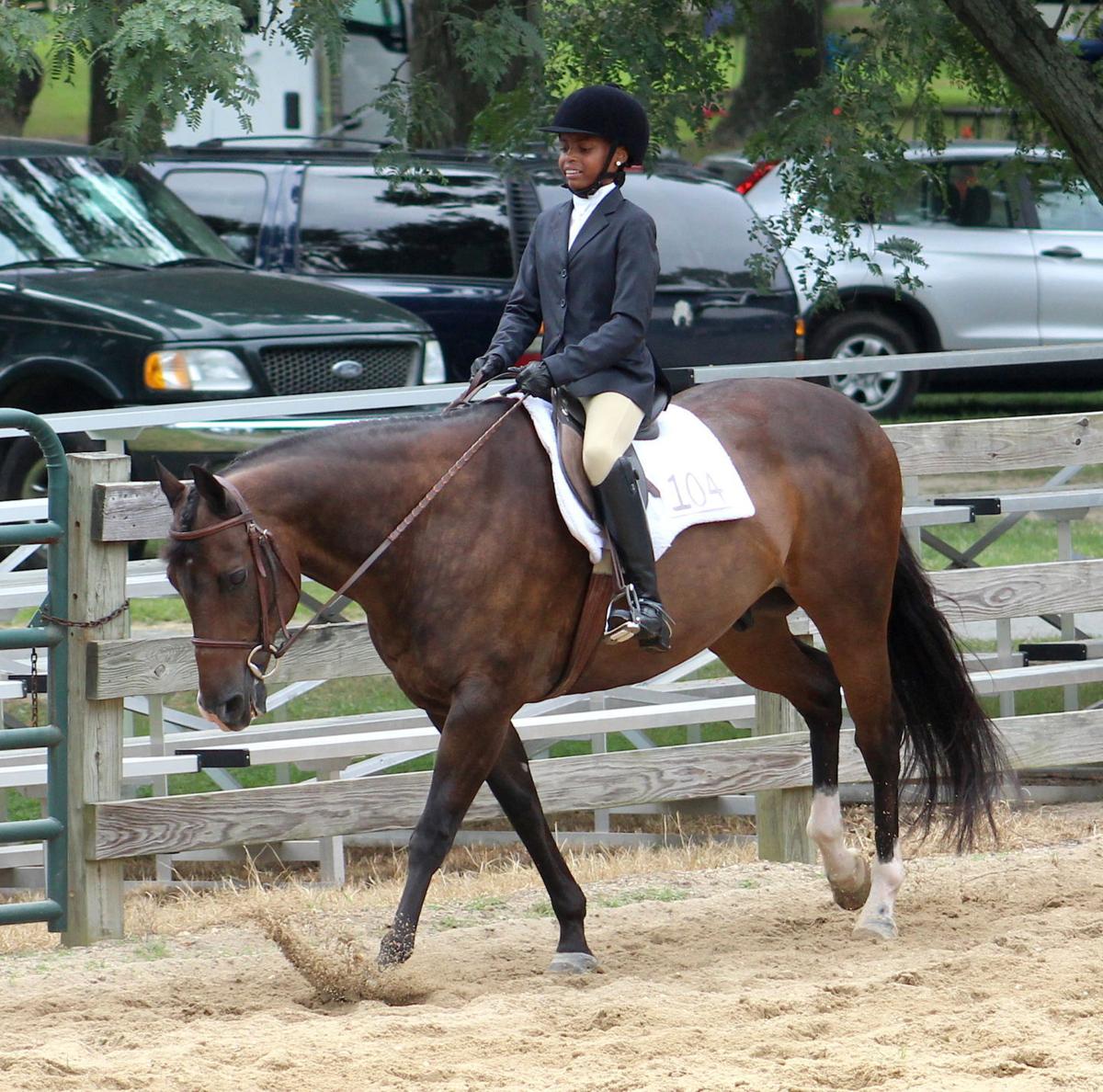 QA Fair English Horse Show | News | myeasternshoremd.com
