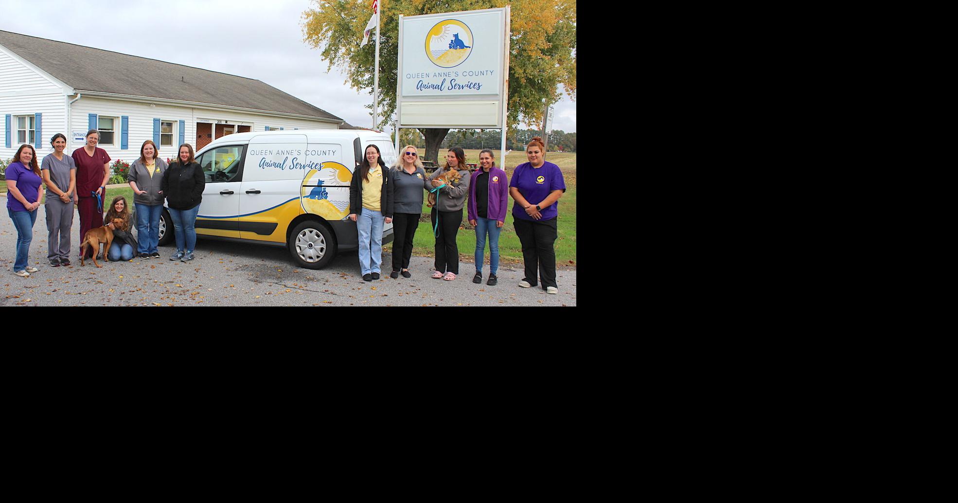 TNR Program seeing positive impact for QA Animal Shelter and community ...