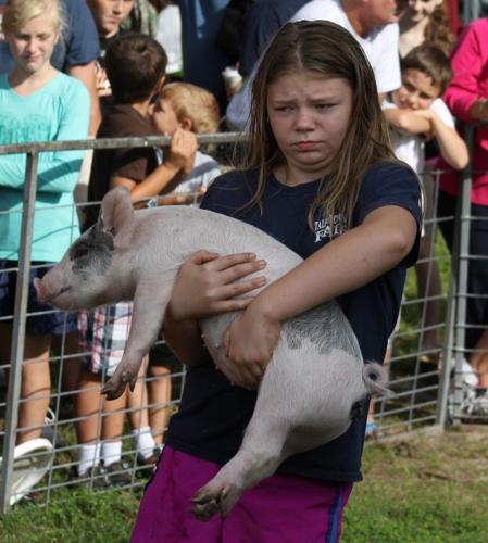 Greased Pig Contest | Featured | myeasternshoremd.com