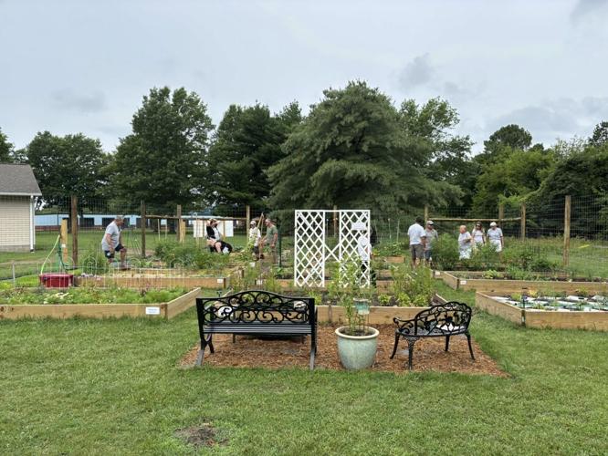Growing green: Kent Island Community Garden celebrates open house ...