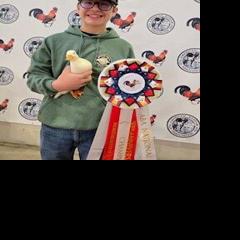 Centreville's Landon Hawkins triumphs at Northeast Poultry Congress ...