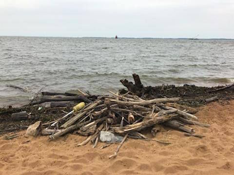 Trash takes over Bay, local waterways | News | myeasternshoremd.com