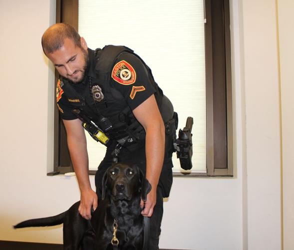 Local K-9 units work to overcome retirements from cannabis law | News ...