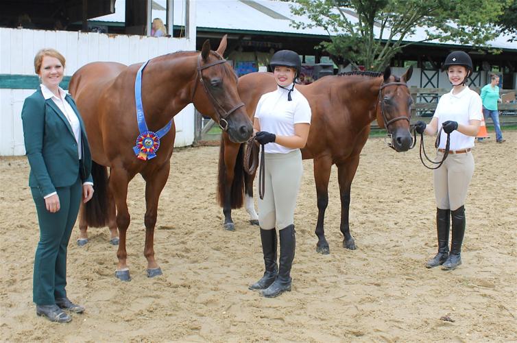 English riders slosh through the show ring | Outdoors ...