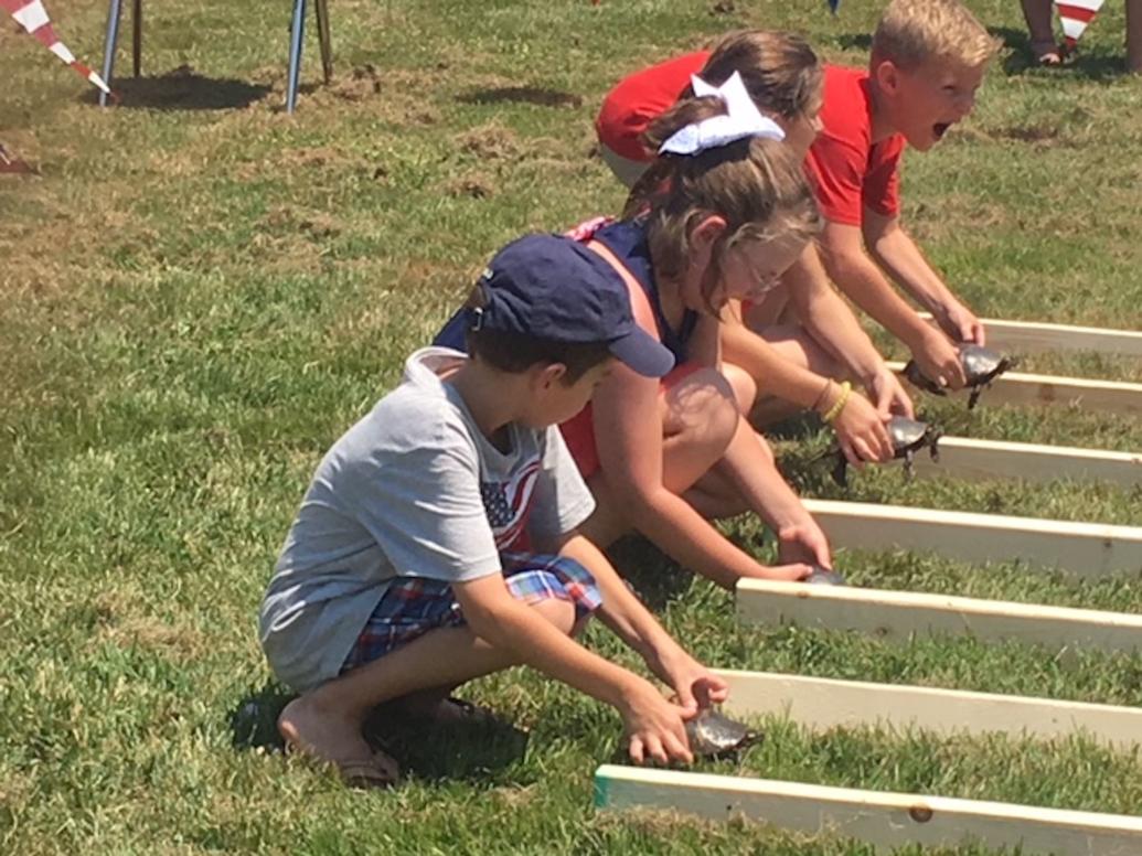 Turtle race winners announced | Spotlight | myeasternshoremd.com