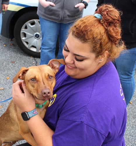 QA Animal Services seeing continued improvement | Community ...