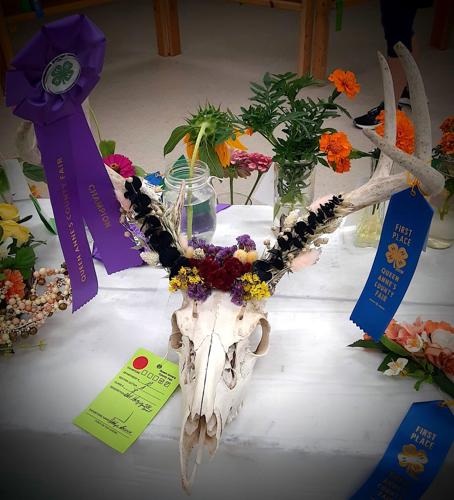 A week of fun at Queen Anne's County fair | News | myeasternshoremd.com