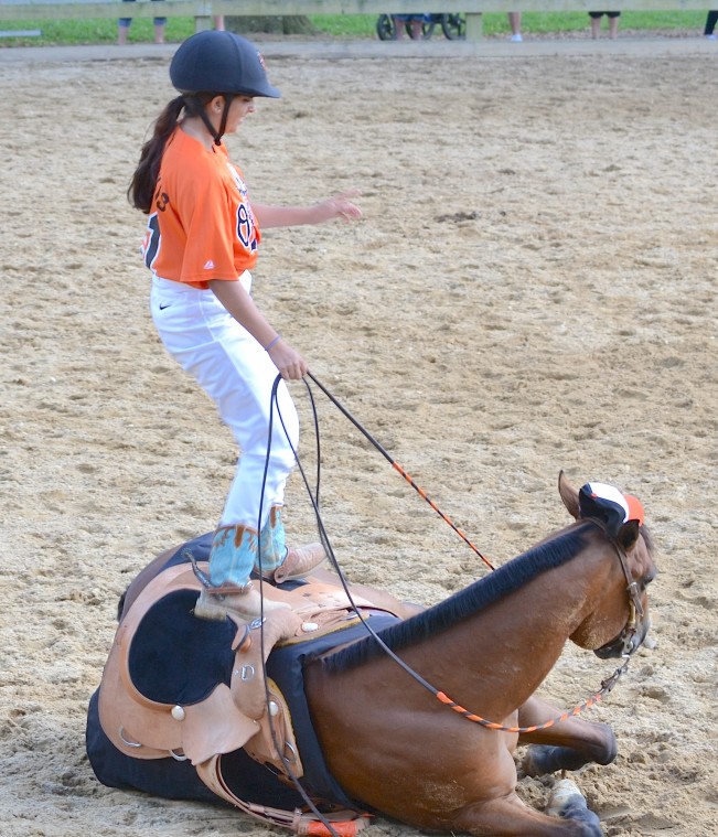 Freestyle Reining at QA Fair | Sports | myeasternshoremd.com