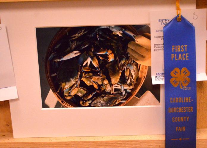 Rachel Jessee crowned fair queen | News | myeasternshoremd.com