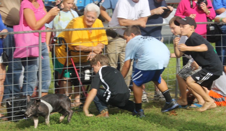 Greased Pig Contest | Featured | myeasternshoremd.com