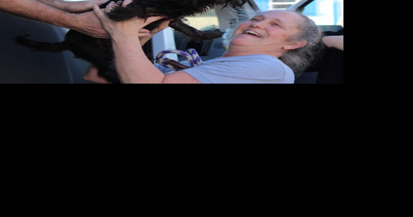 AWL rescues 21 dogs from Louisiana | Spotlight | myeasternshoremd.com