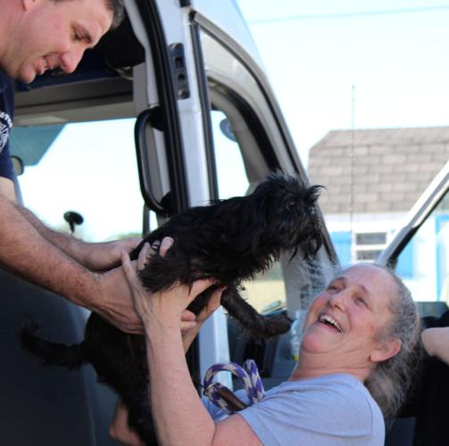 AWL rescues 21 dogs from Louisiana | Spotlight | myeasternshoremd.com