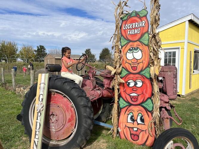 Down on the farm fall fun | Community | myeasternshoremd.com